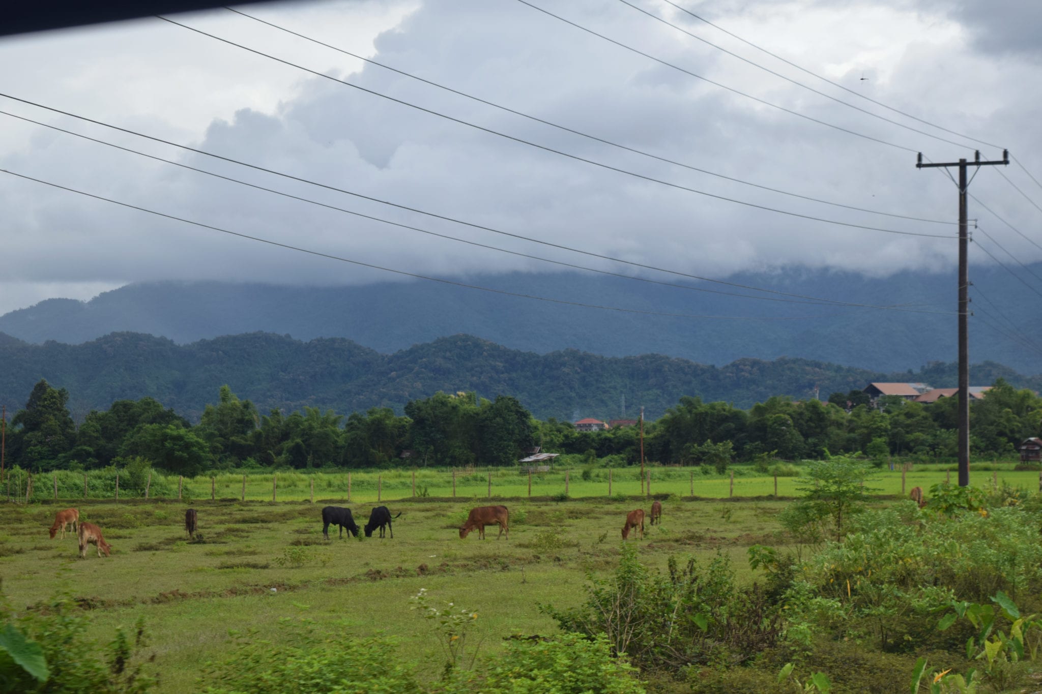 Is Rainy Season in Laos Worth the Trip? (Our Experience + Tips) - Our ...