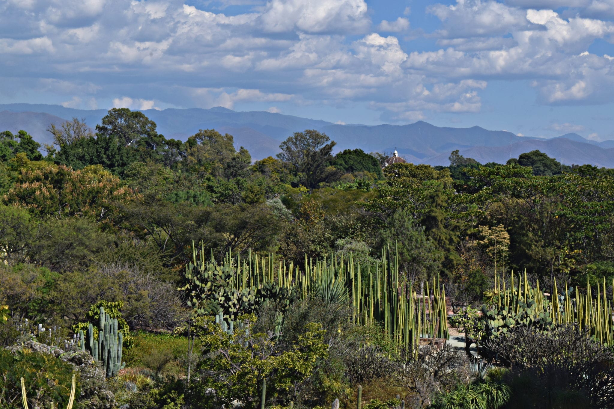 13 Out-Of-This-World Things to Do in Oaxaca - Our Escape Clause