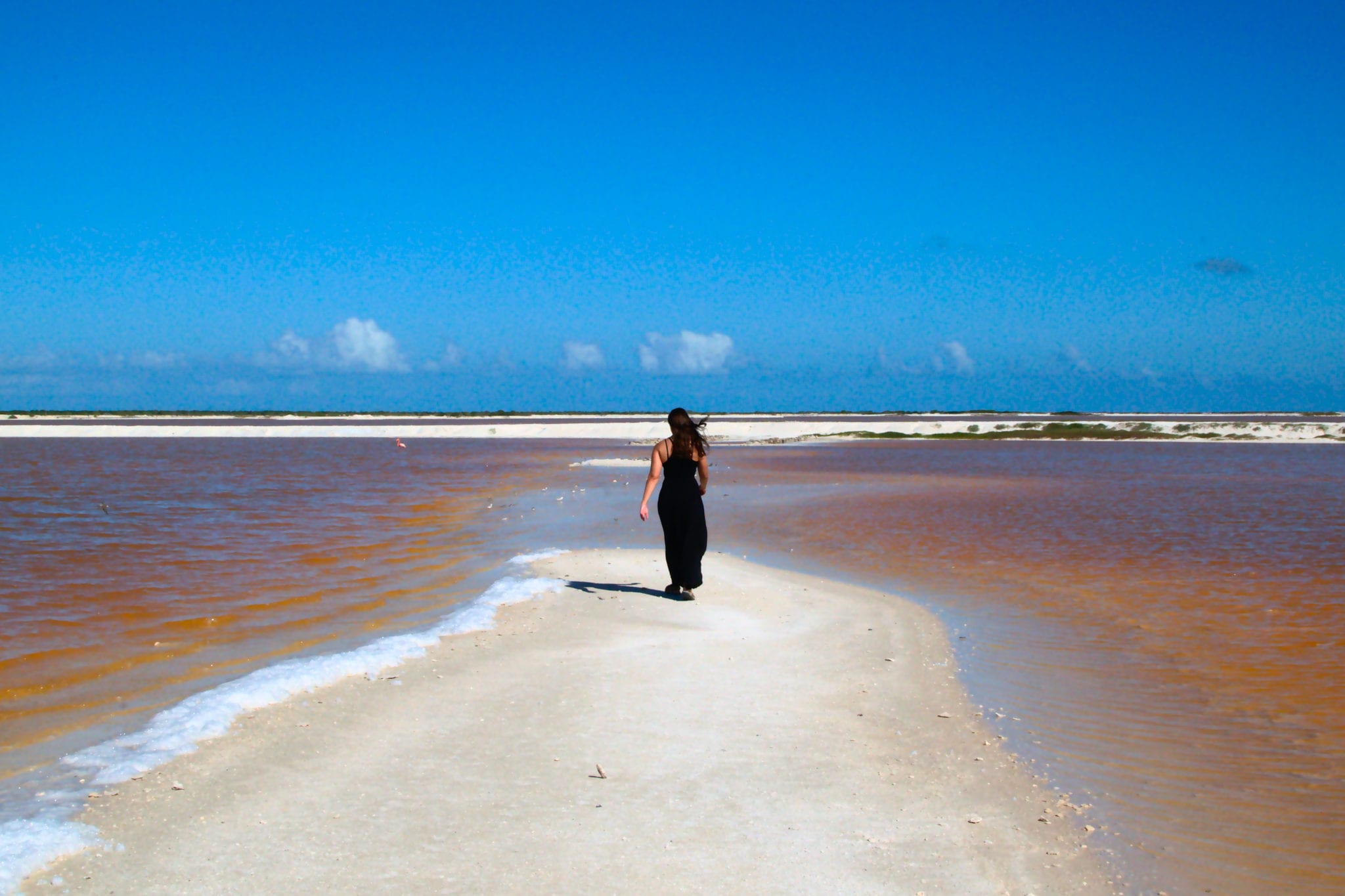 How To Visit the Pink Lakes of Las Coloradas, Mexico