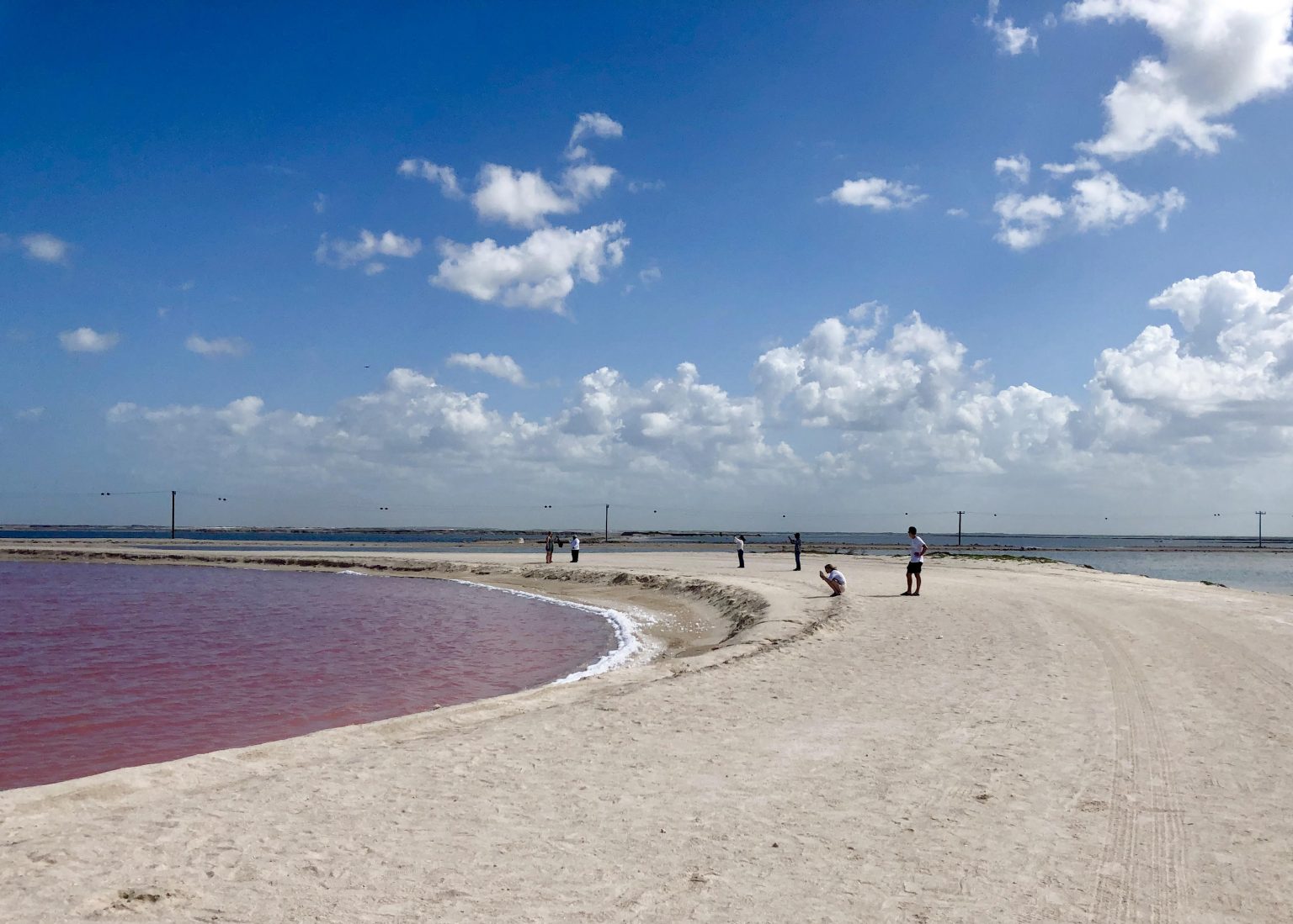 How To Visit the Pink Lakes of Las Coloradas, Mexico