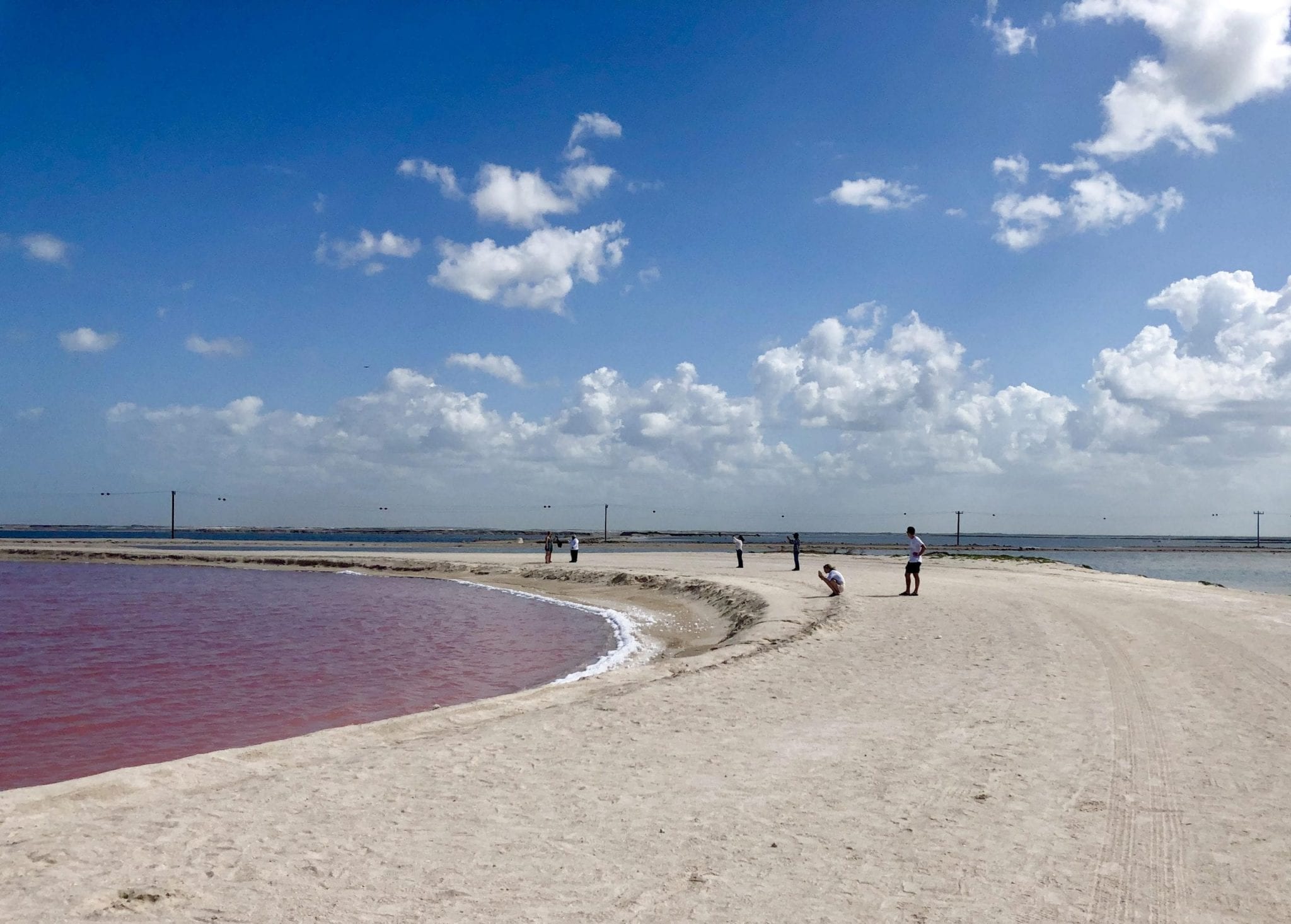 How To Visit the Pink Lakes of Las Coloradas, Mexico