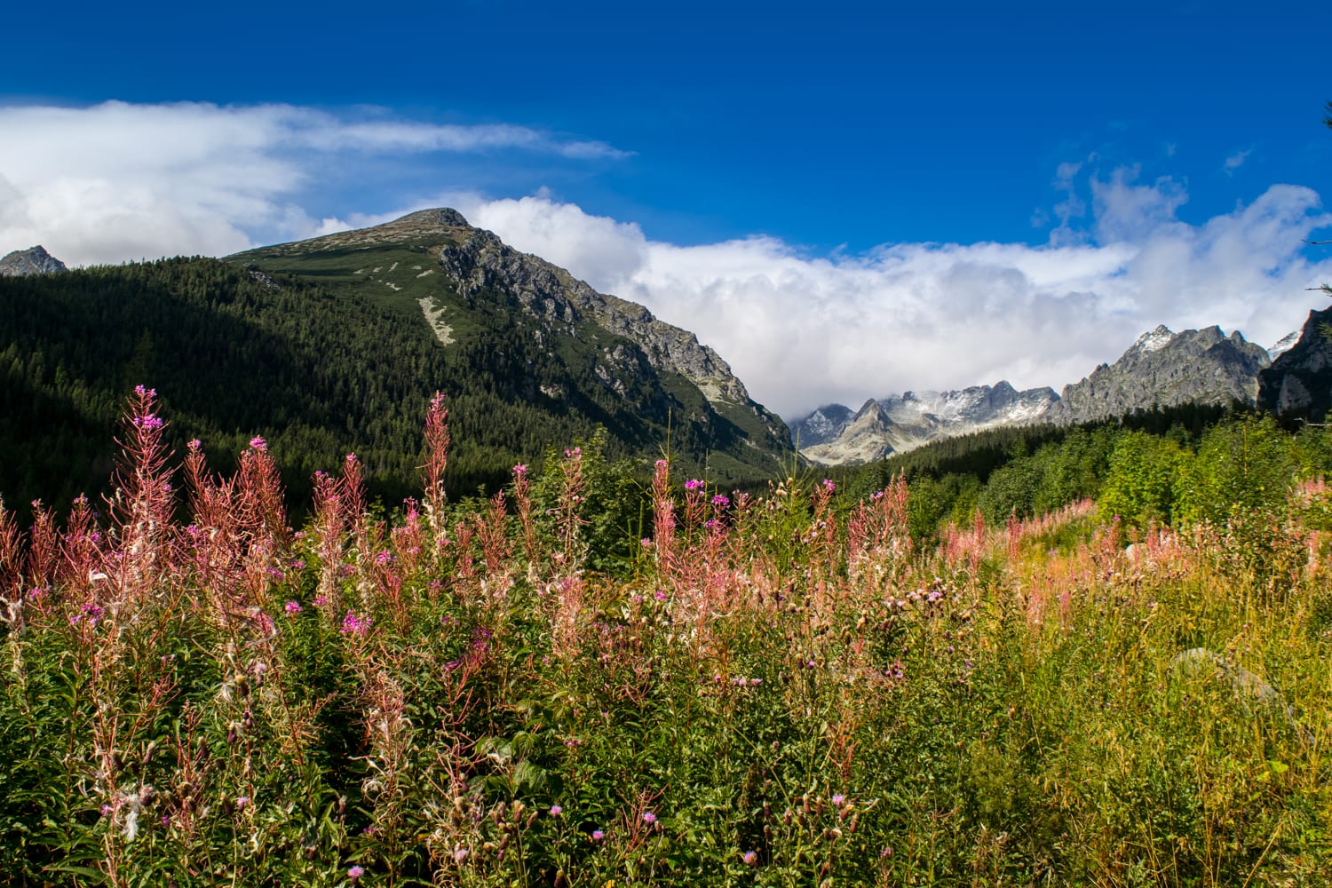 5 Reasons to Go Hiking in Slovakia's High Tatras - Our Escape Clause