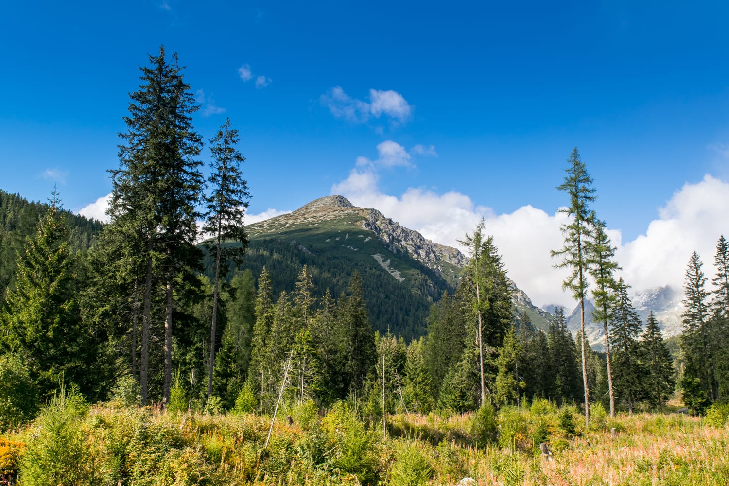 5 Reasons to Go Hiking in Slovakia's High Tatras - Our Escape Clause