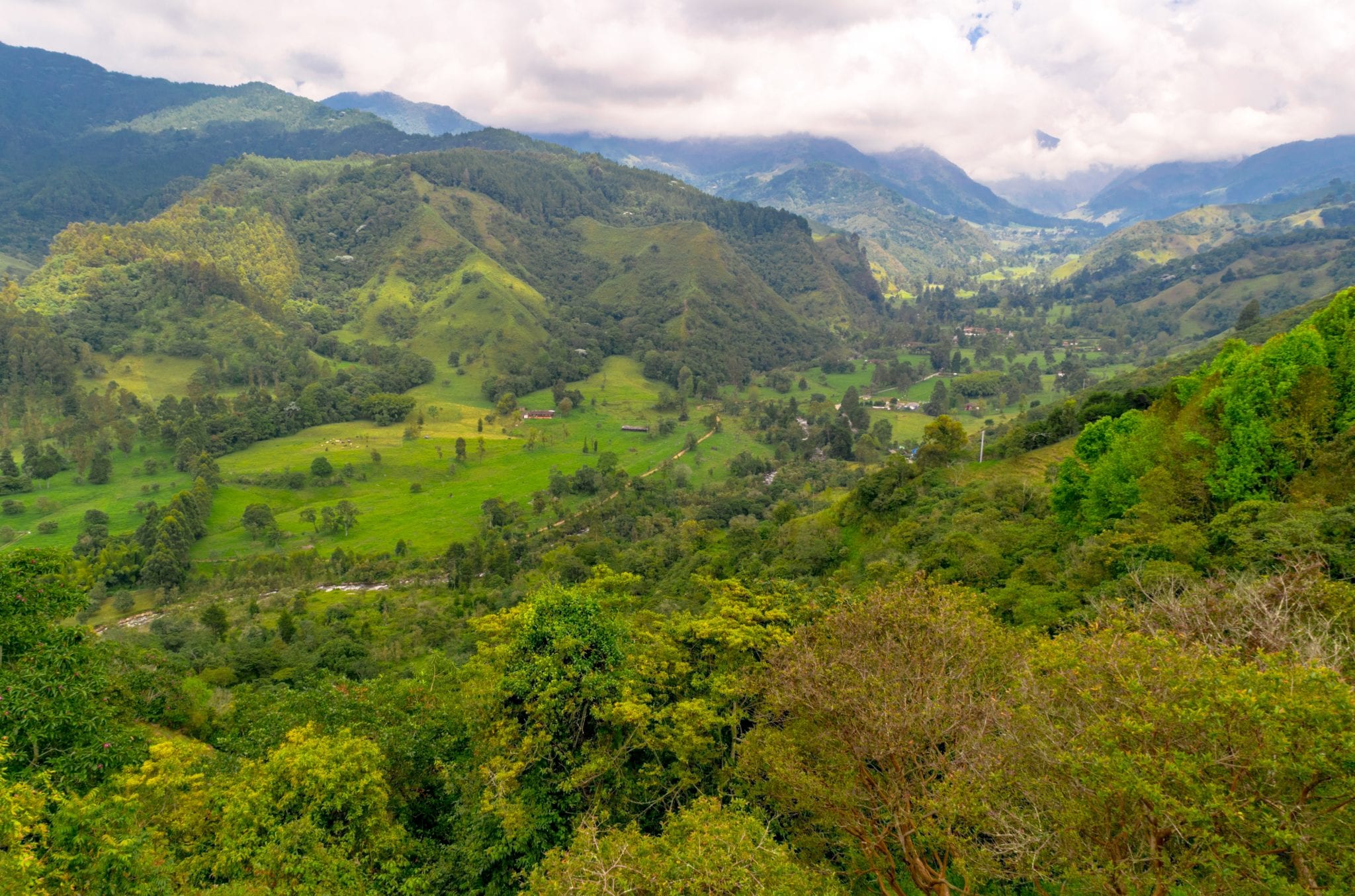 The Absolute Best Things to Do in Salento, Colombia