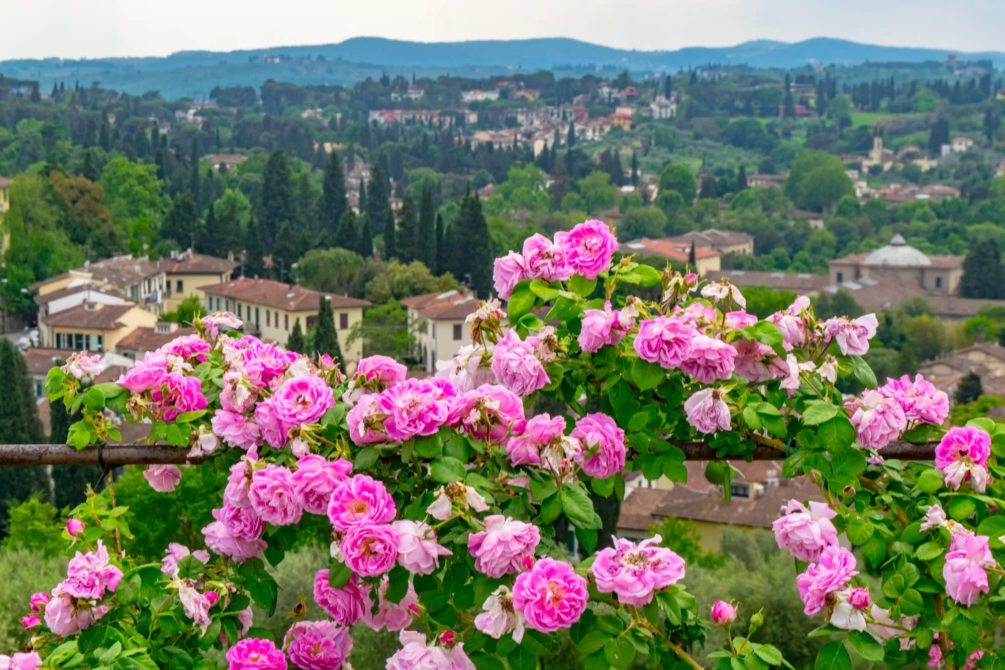 Spring in Tuscany: Things to Do + What to Expect When Visiting! - Our ...