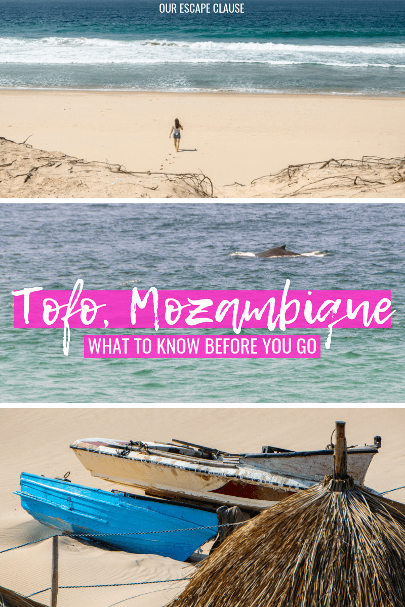 Tofo, Mozambique: Fun Things to Do + Guide - Our Escape Clause