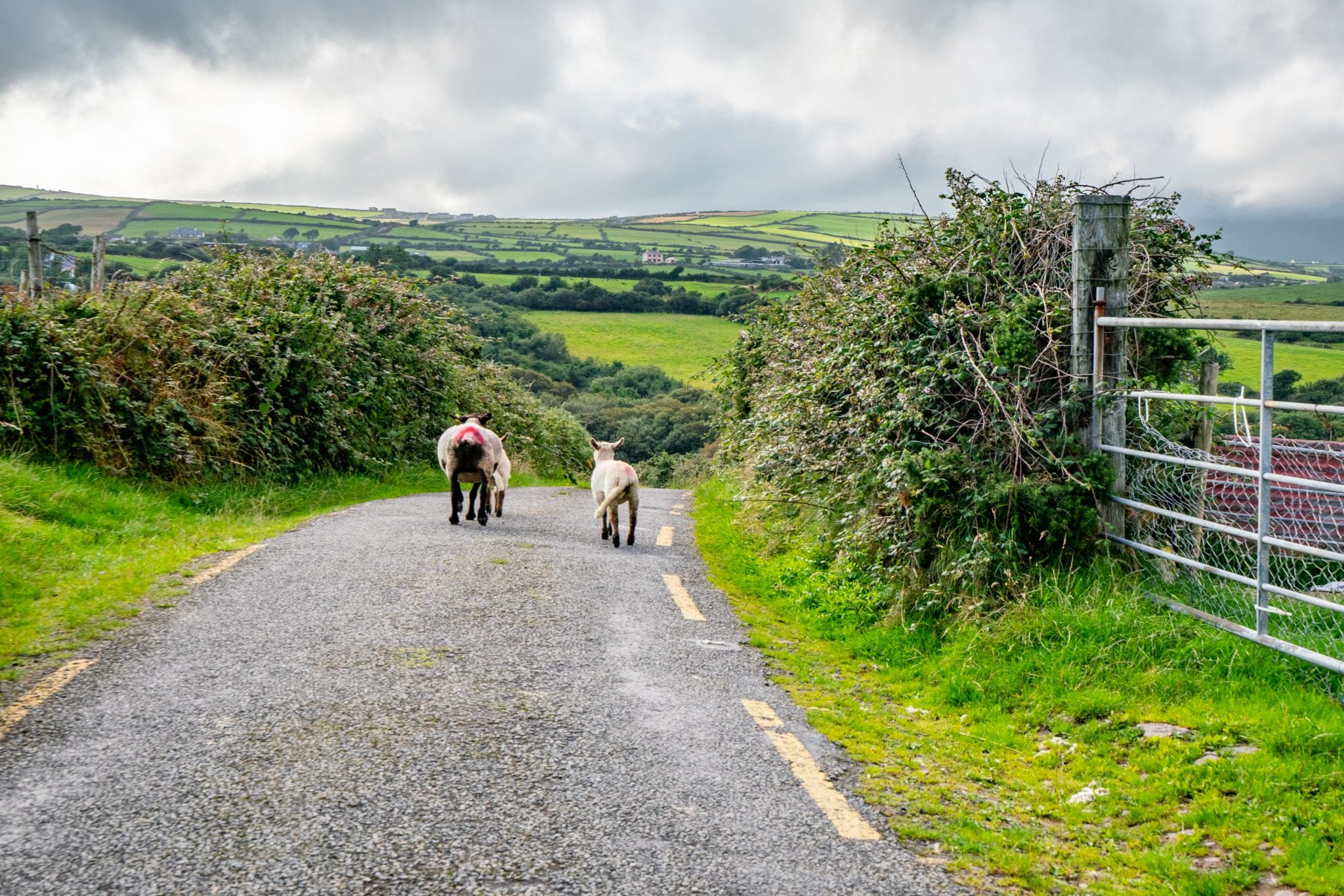15 Adorable Small Towns in Ireland (+ Map to Find Them!) - Our Escape ...