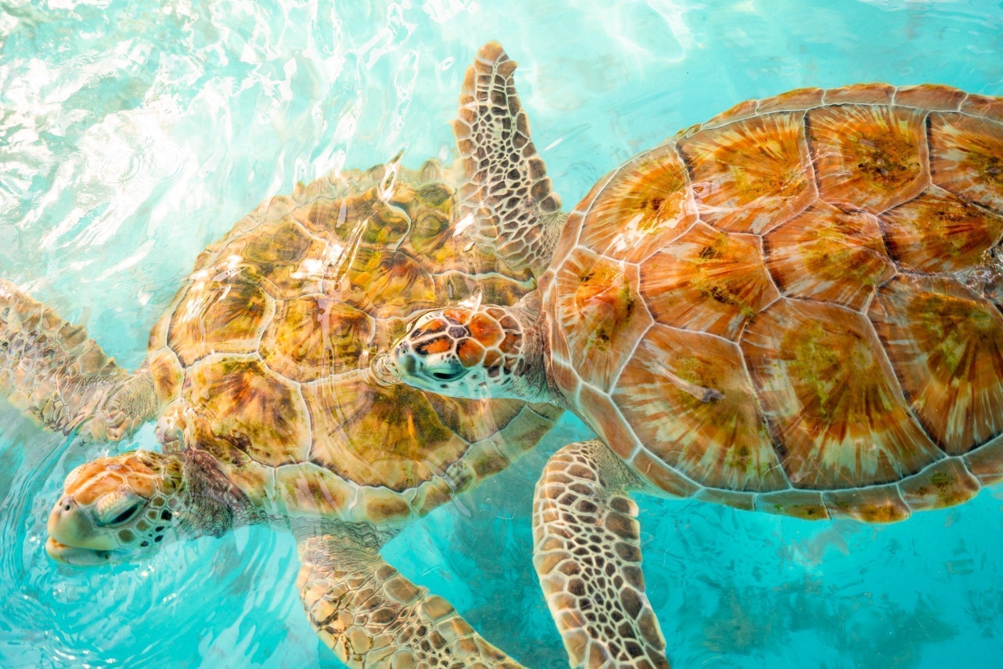 17 Best Things to Do in Isla Mujeres, Mexico’s Laid-Back Island Paradise