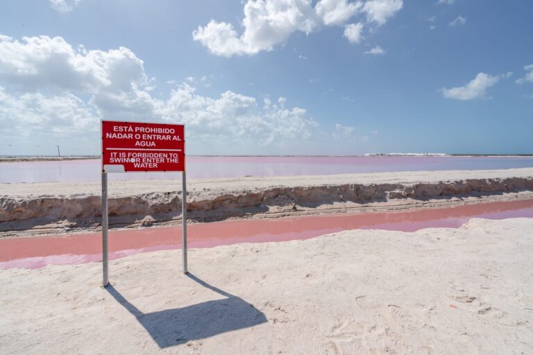 How To Visit the Pink Lakes of Las Coloradas, Mexico