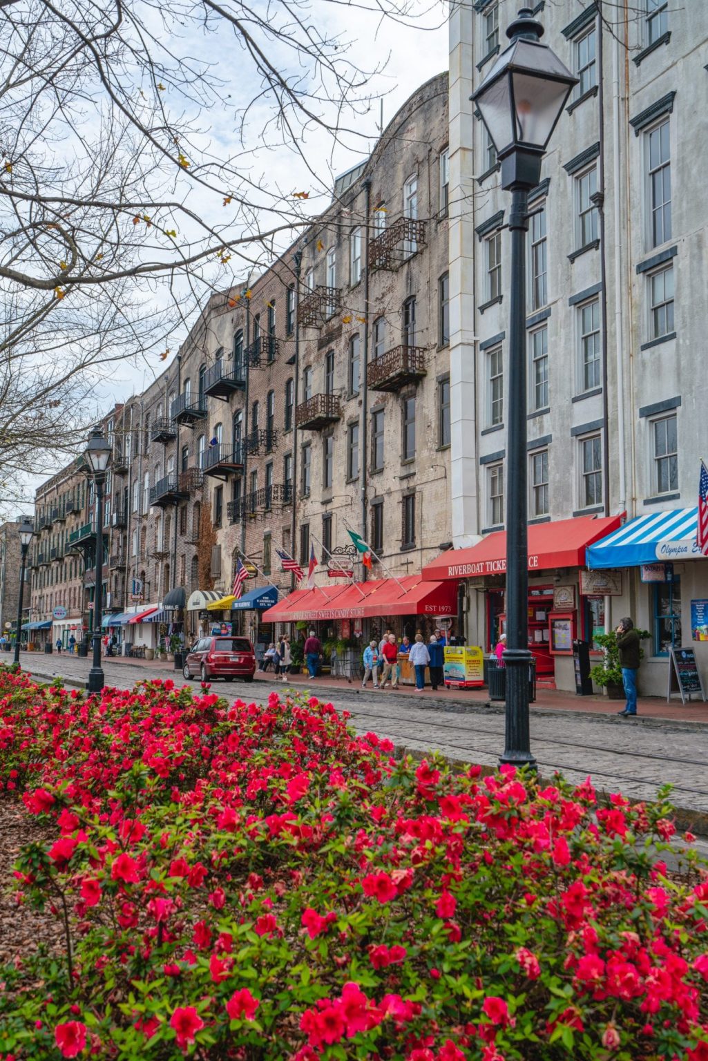 7+ of the Prettiest Streets in Savannah for a Stroll - Our Escape Clause