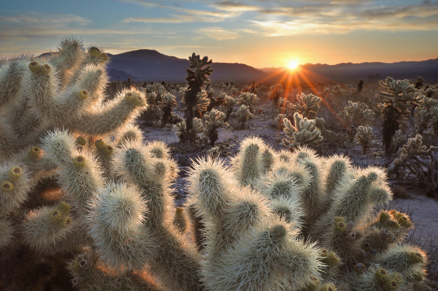 25 Beautiful Places to Visit in California (Vacation Spots Not to Miss!)