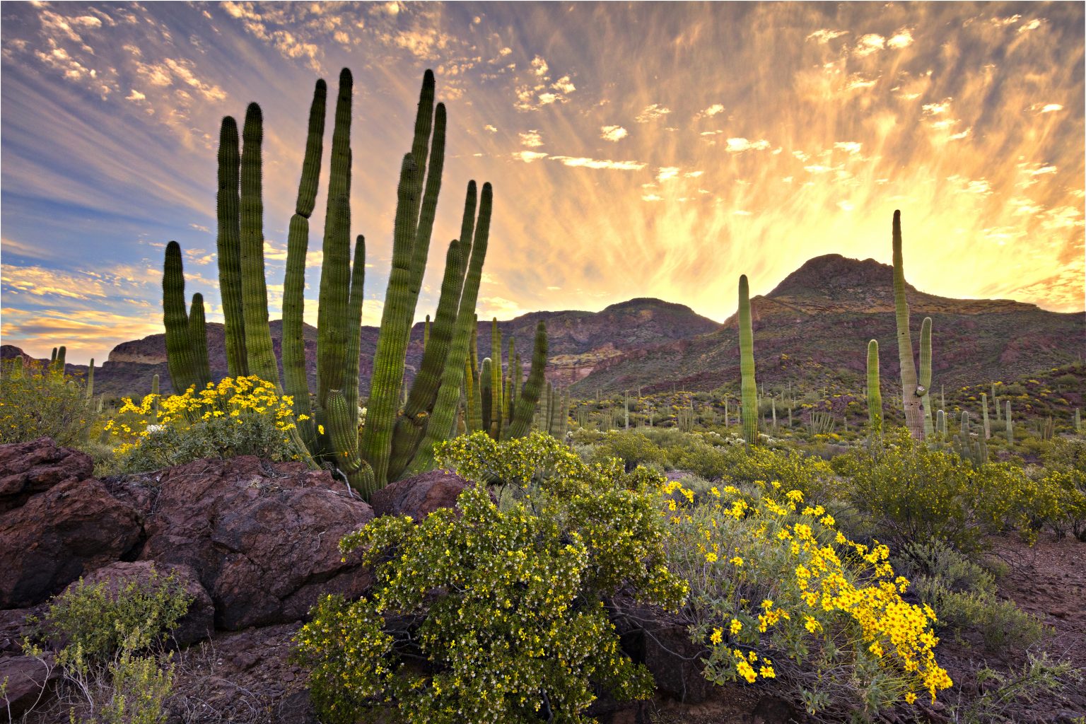 21 Best Places to Visit in Arizona (AZ Bucket List!) - Our Escape Clause
