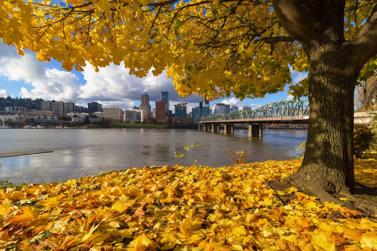 21+ Best Places to Visit in November in the USA (Fall Vacation Ideas ...