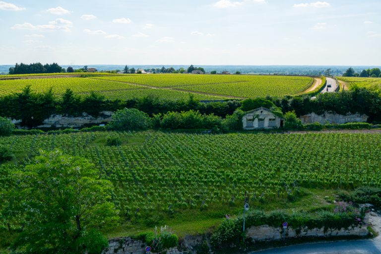 Sublime Saint-Emilion, France: Things to Do + Travel Guide