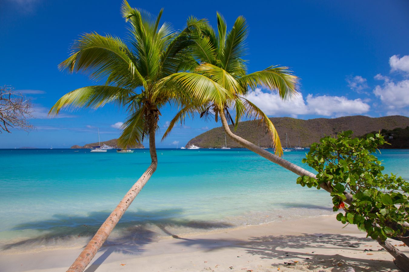 15 Epic Beaches in the US Virgin Islands (St. Thomas, St. Croix + St ...