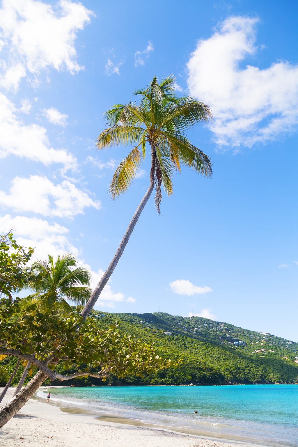 15 Epic Beaches in the US Virgin Islands (St. Thomas, St. Croix + St ...