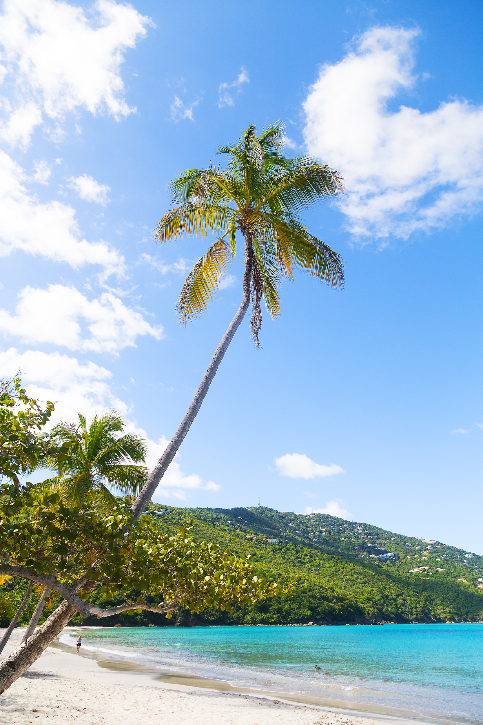 15 Epic Beaches in the US Virgin Islands (St. Thomas, St. Croix + St ...