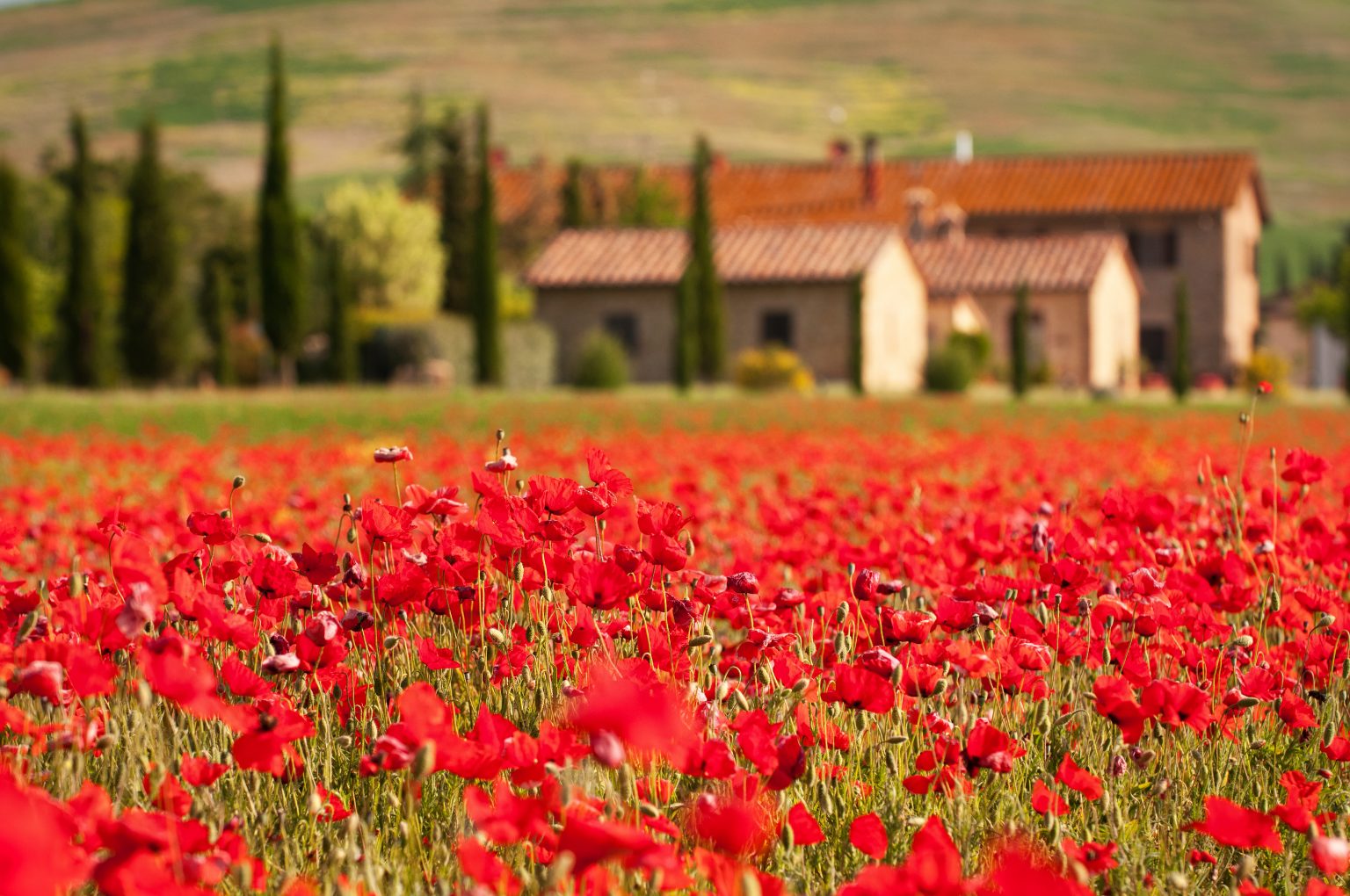 Spring in Tuscany: Things to Do + What to Expect When Visiting! - Our ...