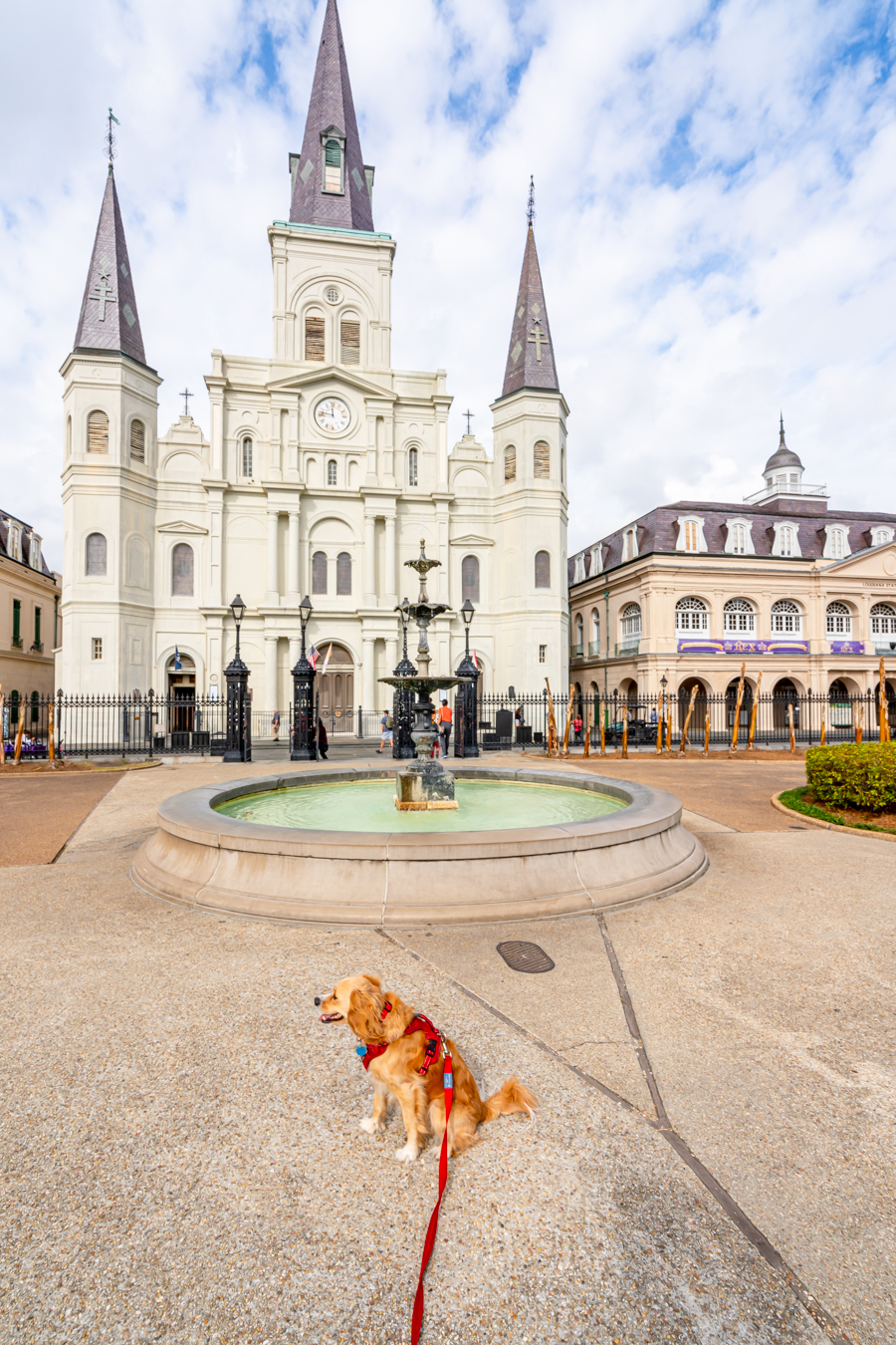 How to Spend One Perfect Day in New Orleans (Itinerary + Tips) - Our ...