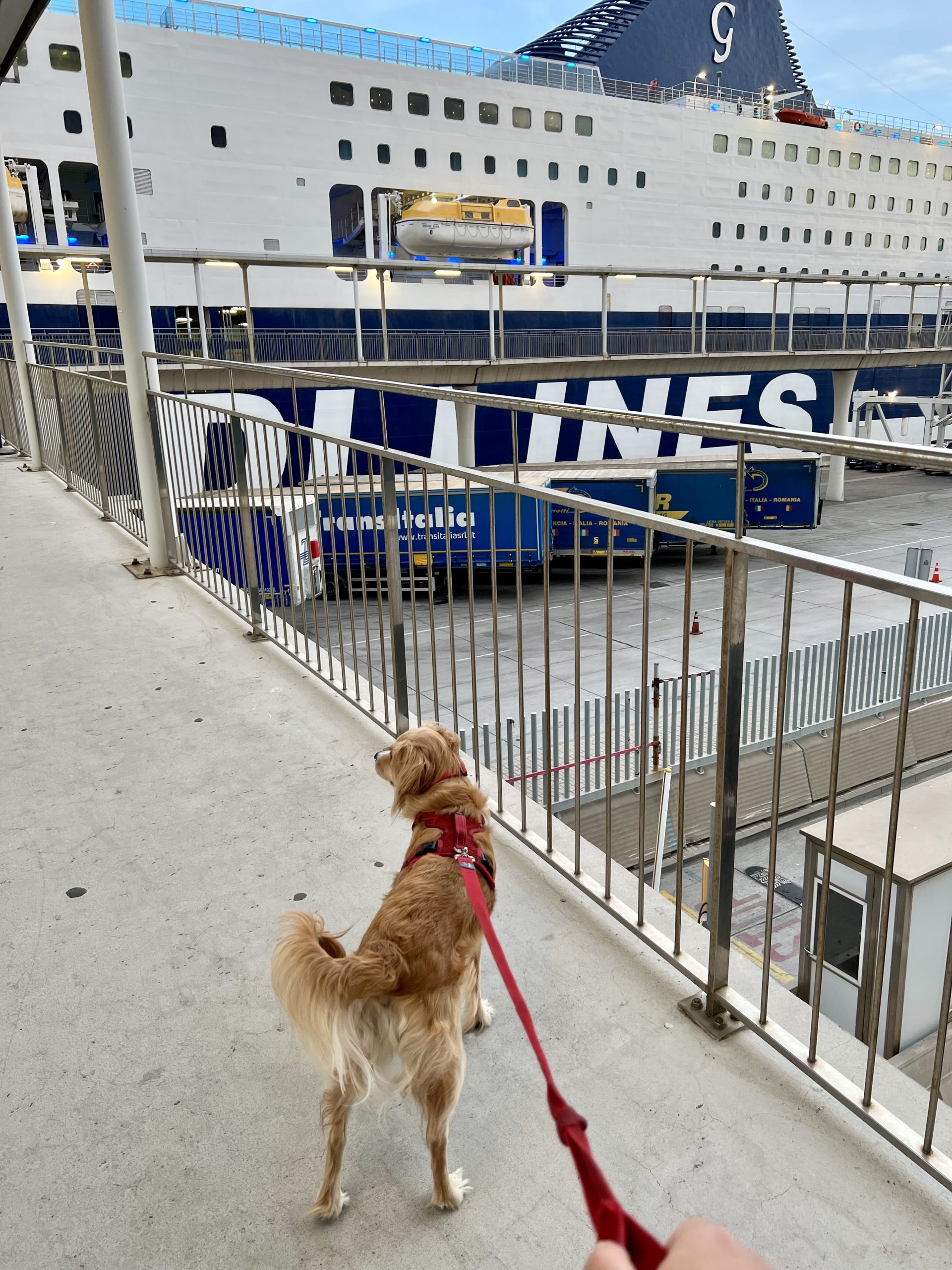 What's it Like to Take a Ferry From Barcelona to Rome? (Grimaldi Lines ...