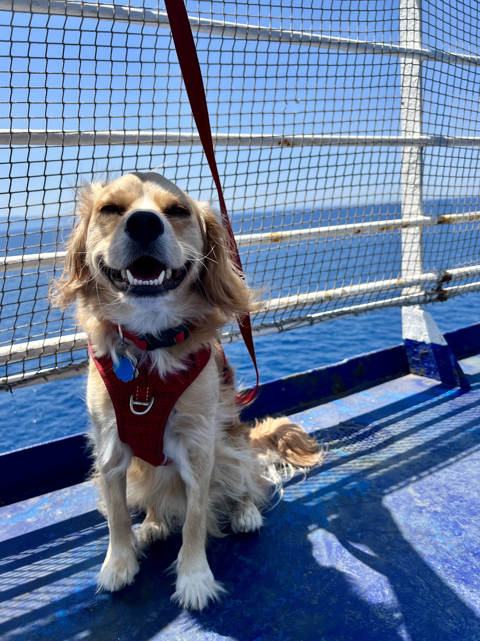 What's it Like to Take a Ferry From Barcelona to Rome? (Grimaldi Lines ...