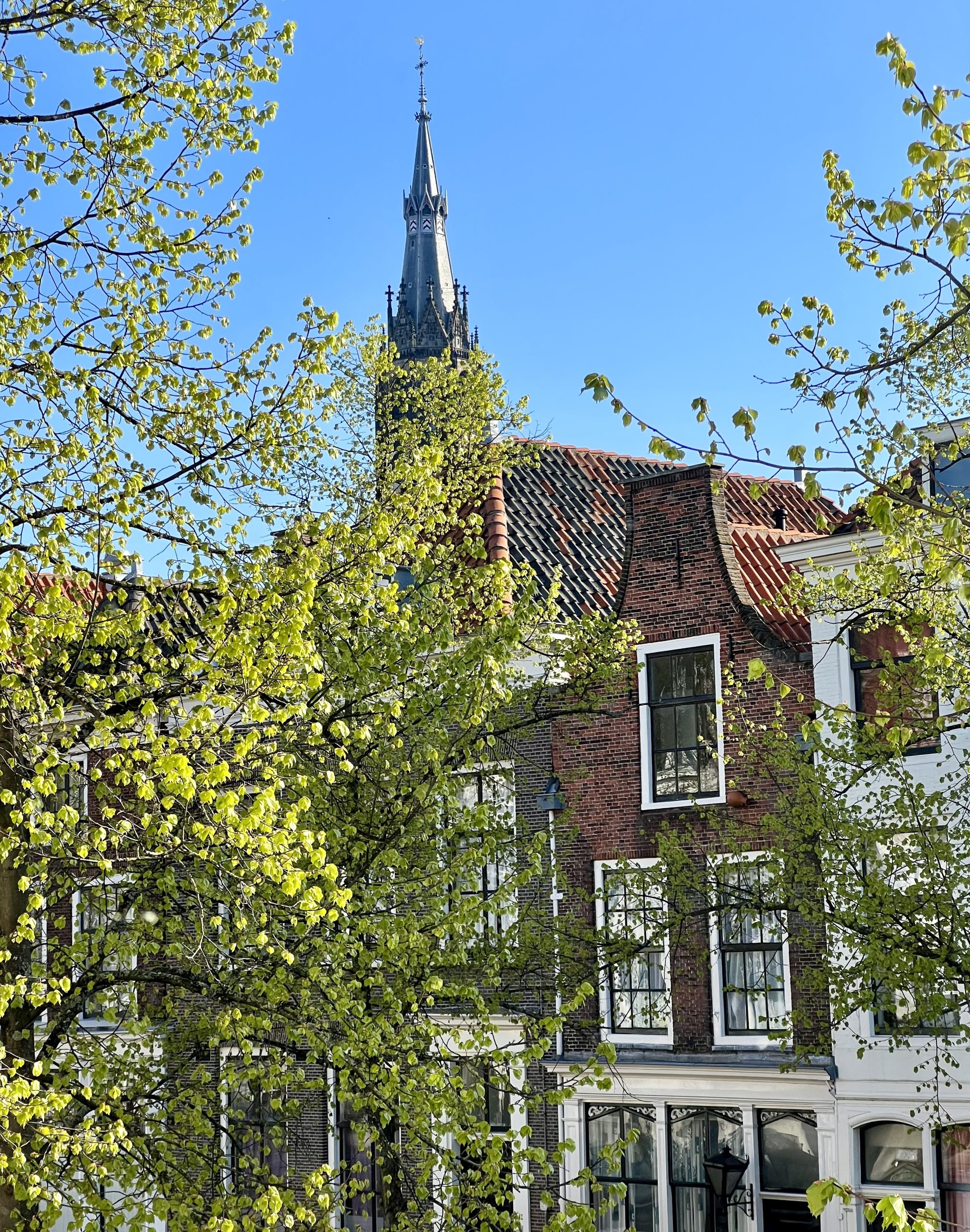 How to Take a Day Trip to Delft From Amsterdam (+ Things to Do!) - Our ...